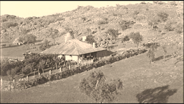 Ernabella Station - Waler Horse Database