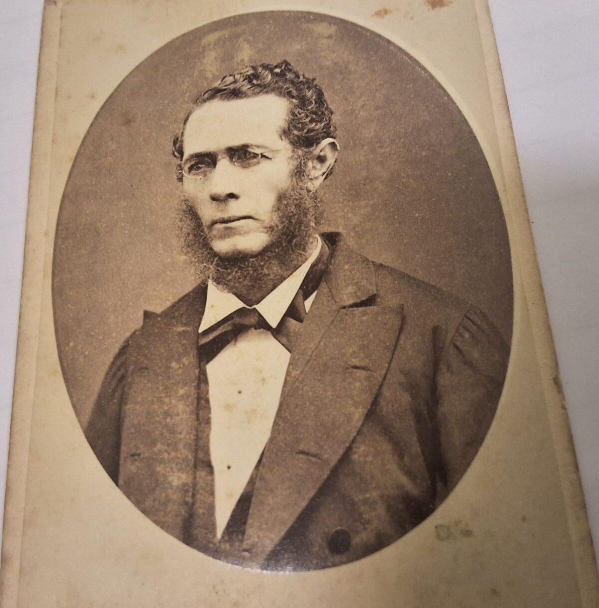 Cobb & Co - Waler Horse Database