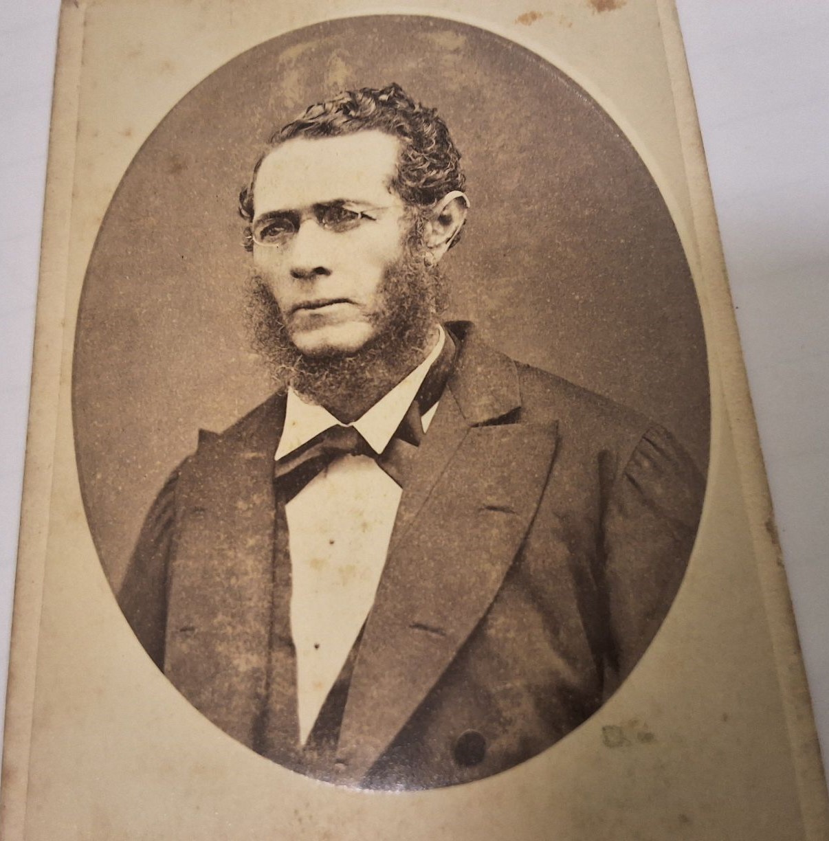 Cobb & Co - Waler Horse Database