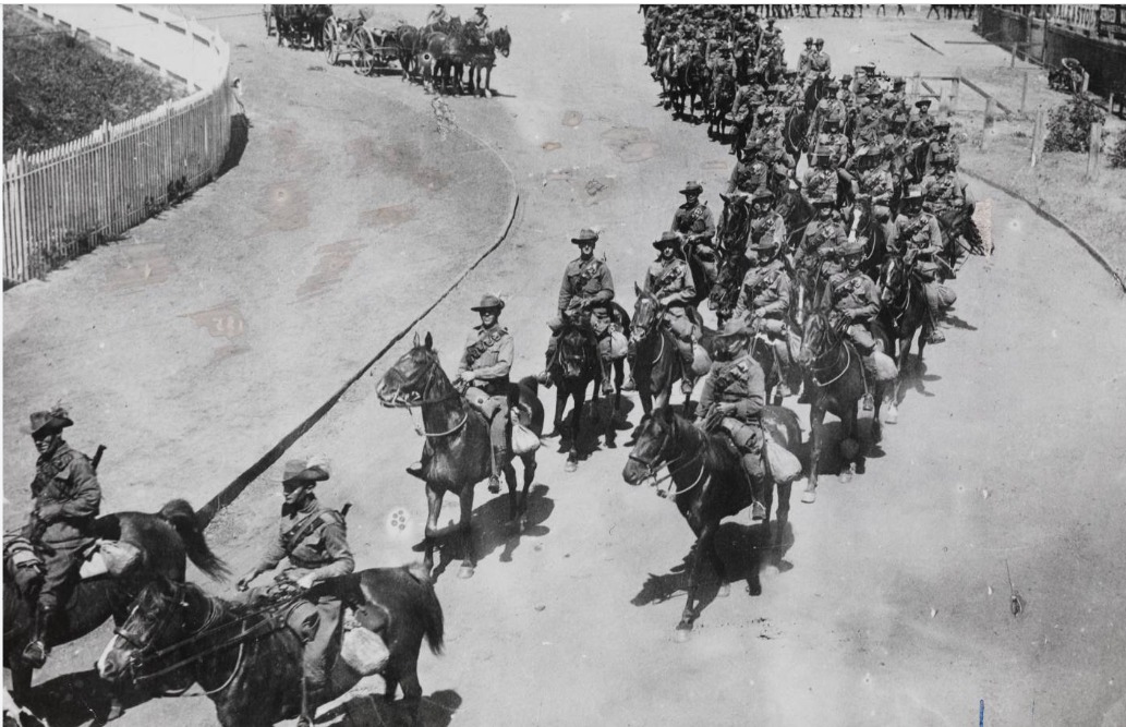 Remembering the Light Horse - Waler Horse Database